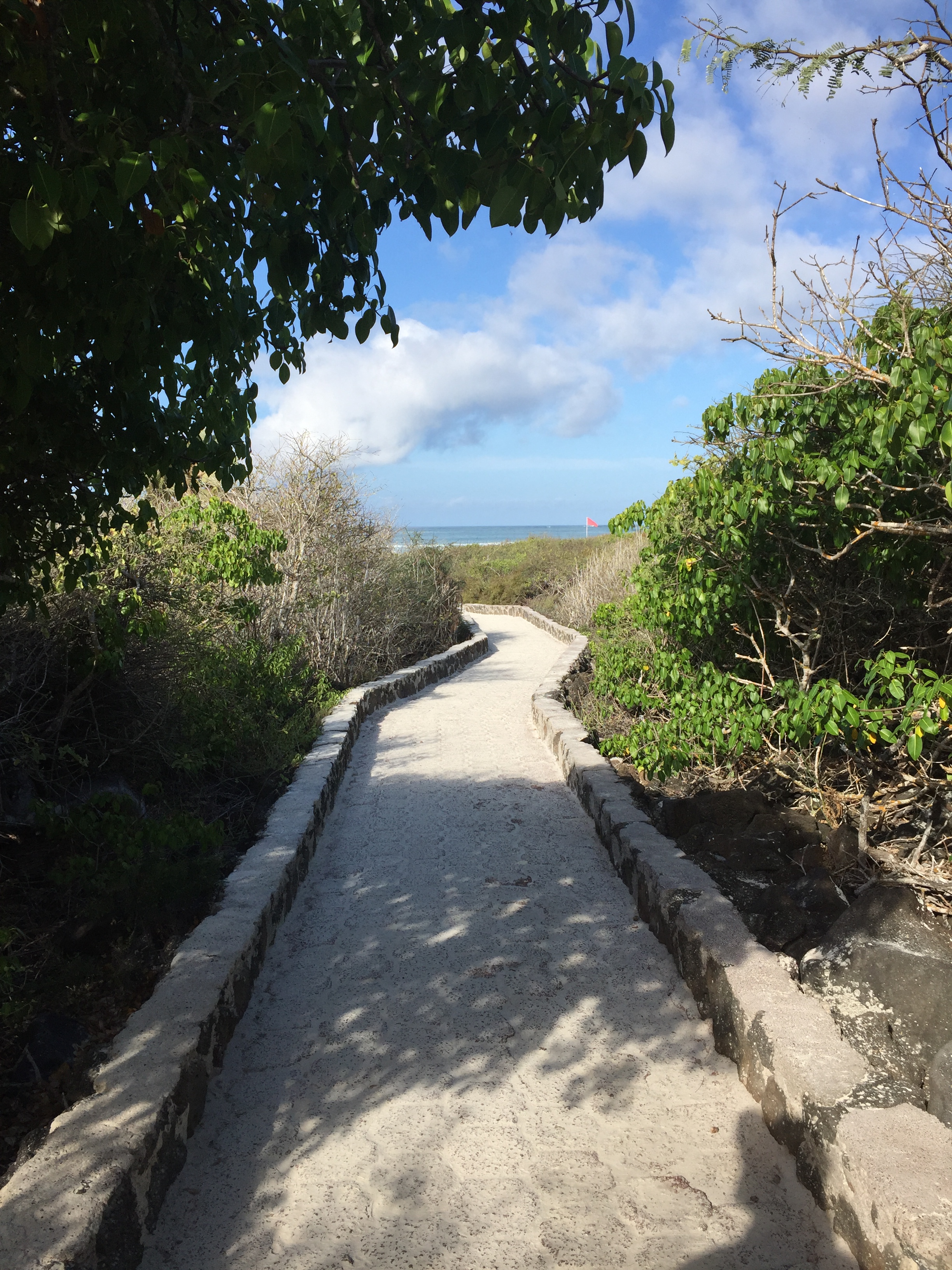 Tortuga Bay - Santa Cruz, Galapagos Islands - DESKRIB
