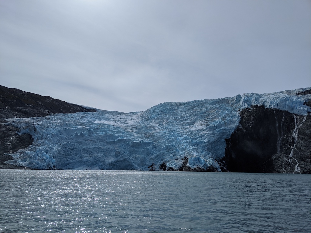 Prince William Sound Glacier and Wildlife Boat Tour with Lazy Otter ...